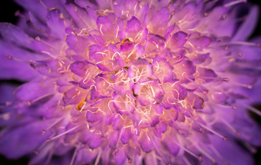 What Can Hypnosis Do For You? ⋆ Simple Ula