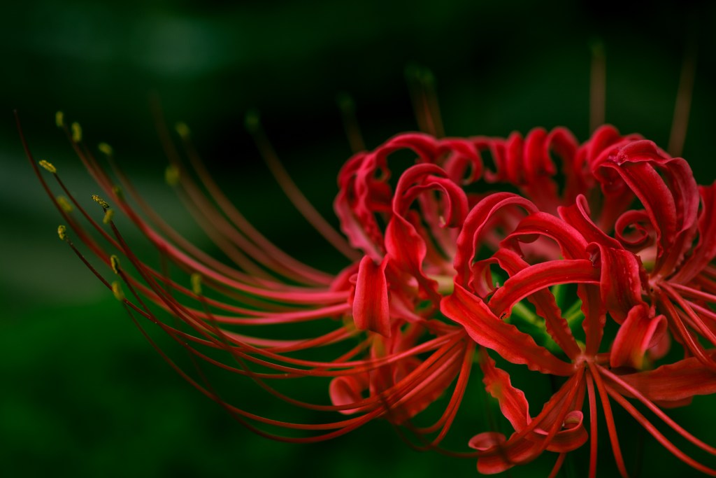 Reasons To Join A Union At Work ⋆ Simple Ula